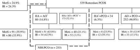 An Overview Of The Study Cohort PCO Polycystic Ovaries AO Download Scientific Diagram