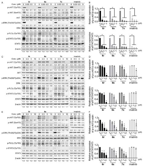 C Kit And Its Downstream Signaling Are Inhibited By 6r 6s And 7c In