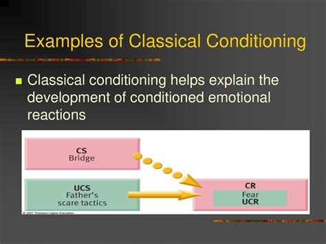 Common Examples Of Classical Conditioning At Sheila Cline Blog