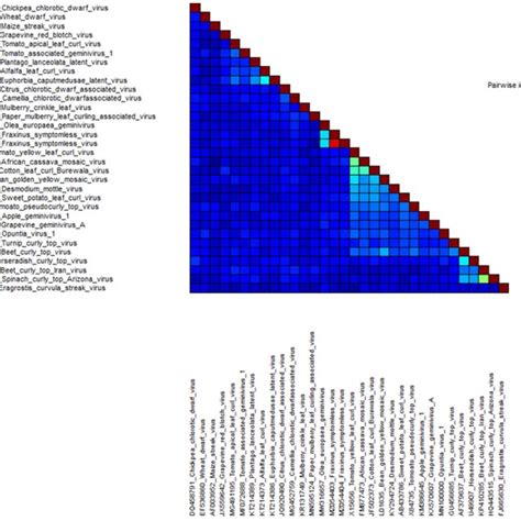 sequence demarcation tool based pairwise sequence comparisons between
