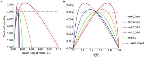 Frontiers How Asymmetric Mating Patterns Affect The Rate Of Neutral Genetic Substitution