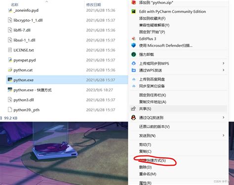 Python的安装详细版本来了,小白块来! Csdn博客 Python的安装详细版本来了,小白块来! Csdn博客
