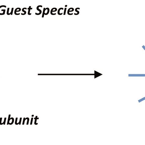 General Approach For Designing Of Chemosensor Based On The