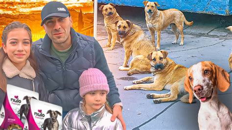 როგორ გავატარეთ ერთი დღე ძაღლების თავშესაფარში Youtube