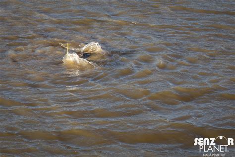 5D3 6344 — Postimages