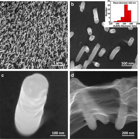Characterizations Of The Prepared Nanostructures A To C Sem Images