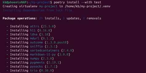 Python Poetry Guide For Beginners