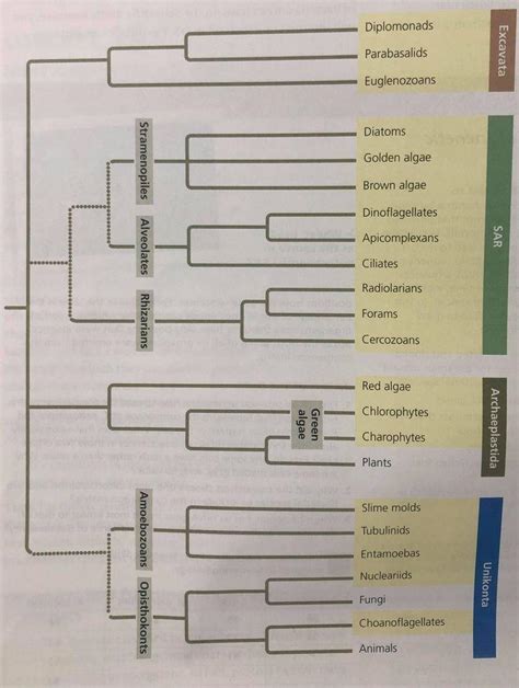 Solved There Are 4 Supergroups There Is A Nice Chart In You