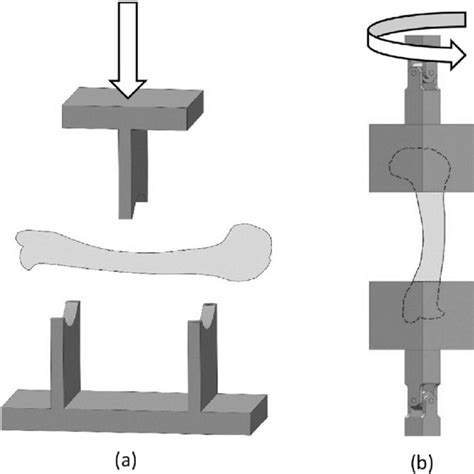 Representative Torque Angular Displacement Curve For Torsion Test At Download Scientific
