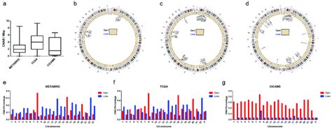 Copy Number Alteration Of The Study Population A Copy Number Download Scientific Diagram