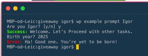 Adding Useful Interactive Prompts In Your Wpcli Commands Igor Benić