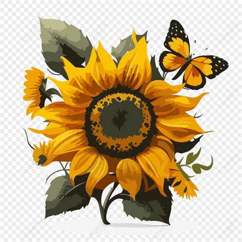나비와 해바라기 벡터만화상표클립 아트 Png 일러스트 무료 다운로드 Lovepik