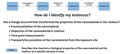 Instance Maps NanoCommons User Guidance Handbook
