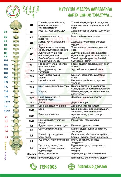 ЭРҮҮЛ МЭНДИЙН ЗӨВЛӨГӨӨ… Хан Уул Эрүүл мэндийн төв