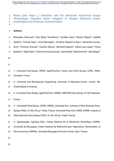 Pdf Maize Zea Mays L Interaction With The Arbuscular Mycorrhizal Fungus Rhizophagus