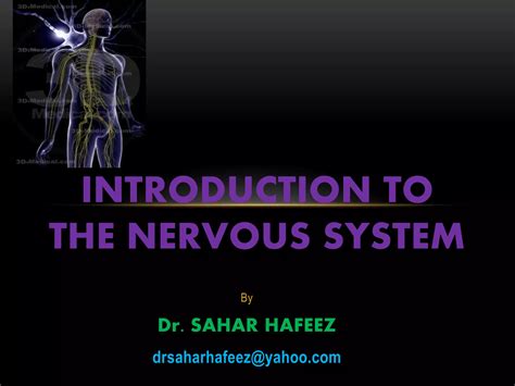 Introduction To The Nervous System Pptx