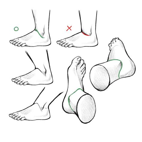 구조를 이해하면서 그린다 손과 발 그리기 강좌 그림 꿀팁사전 Визитки фотографа Рисование