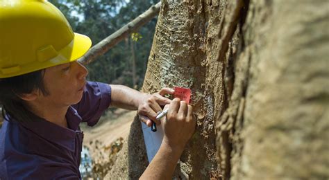 Ril C Reduce Impact Logging