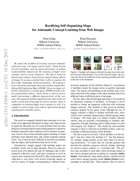 pdf rectifying self organizing maps for automatic concept learning from web images
