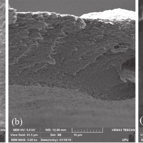 Pdf Regenerated Cellulose Membrane From Peanut Shell For Biodiesel Purification