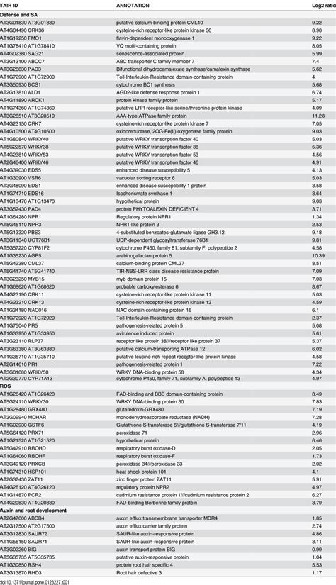 The Cluster Of Selected High Expression Genes In Microarray Data At 24 Download Table