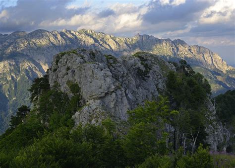 Botanika E Alpeve Porta Vendore