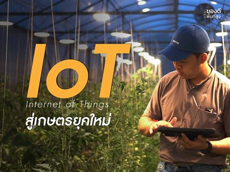 Iot สู่เกษตรยุคใหม่ ไปกับ สวพส องค์ความรู้เพื่อการพัฒนาพื้นที่สูงอย่างยั่งยืน