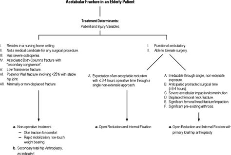 Treatment Algorithm For Acetabular Fractures In The Elderly 15