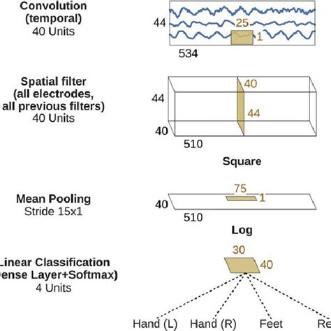 Pdf Deep Learning With Convolutional Neural Networks For Eeg Decoding And Visualization
