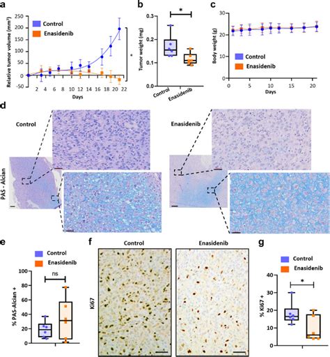 A Personalized Medicine Approach Identifies Enasidenib As An Efficient Treatment For Idh2 Mutant