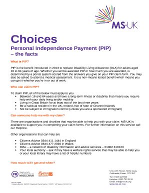 What Is PIP Doc Template PdfFiller