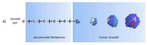 Clonal Evolution Model Understanding Pancreatic Cancer Blog