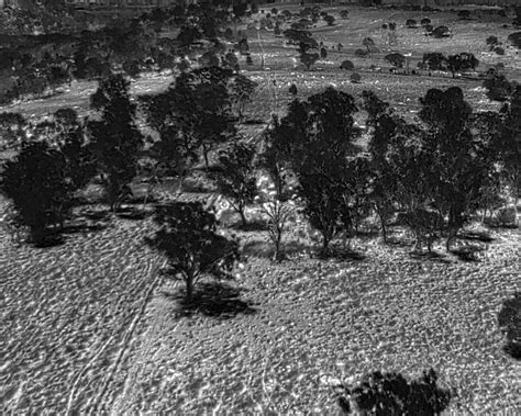 Thermal Imaging Wildsky Drones