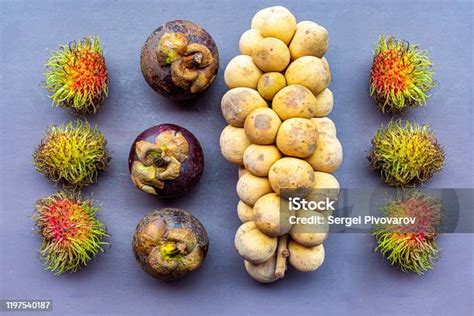 람부탄 망고스틴 롱콕 의 가지의 모듬 열대 과일은 밝은 나무 보라색 배경에 거짓말 개체 그룹에 대한 스톡 사진 및 기타 이미지 개체 그룹 건강한 생활방식 계절