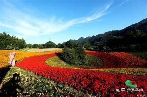 重庆红池坝国家森林公园旅游攻略 知乎