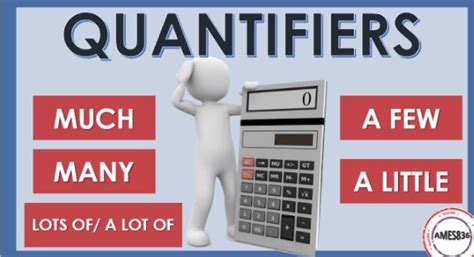 Quantifiers 12th Grade Quiz Wayground