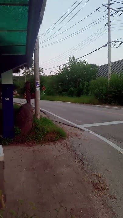 시골 버스 정류장 한가하다 Youtube