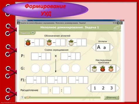 Формирование УУД на уроках биологии и химии презентация онлайн