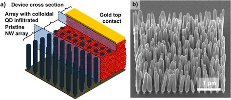 Zno Nanowire Arrays For Qd Based Pv Devices A Schematic Of An Ideal Download Scientific