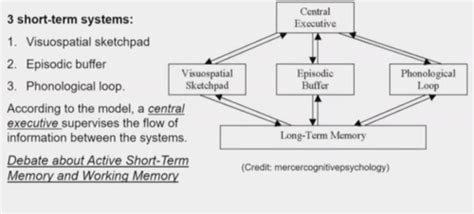 Chapter 8 Memory Psych 202 Gallimore Flashcards Quizlet