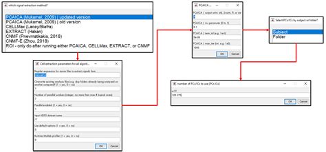 Github Bingcao2calciumimaginganalysis Calciumimaginganalysis A