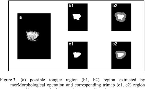 figure 1 from automatic tongue image segmentation based on histogram