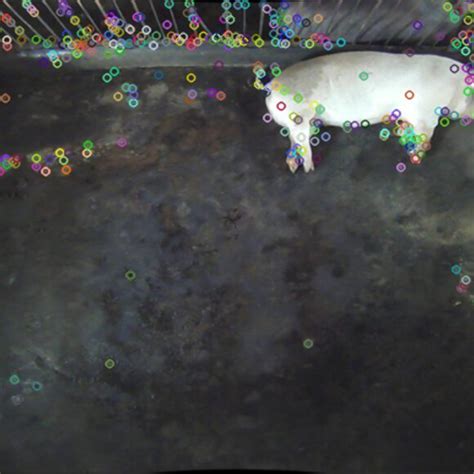 One Result Of The Detected Key Points By The Sift Detector Download