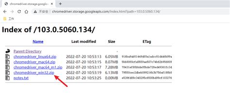 Python 使用selenium通过chromedriver调用谷歌浏览器python Chromedriver Csdn博客