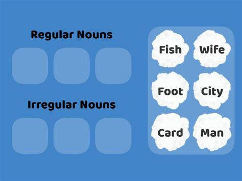 Classify The Items Into The Correct Category Group Sort