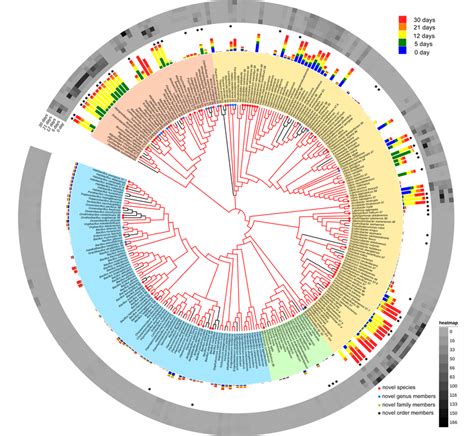 Phylogenetic Tree Of Bacteria Cultured From The Three Marine Sediment Download Scientific