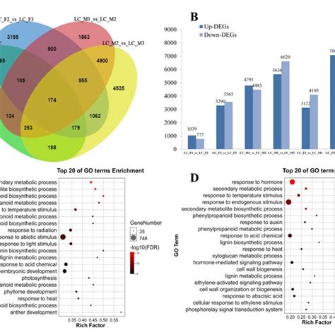 Analysis Of Rna Seq In Male And Female Flower A Venn Diagrams Of