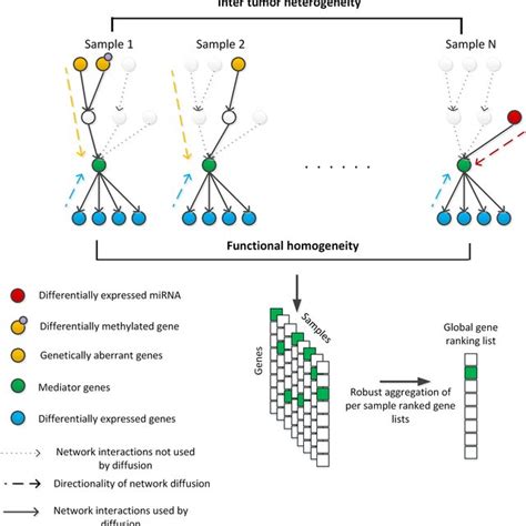 Pdf Network Based Integration Of Multi Omics Data For Prioritizing