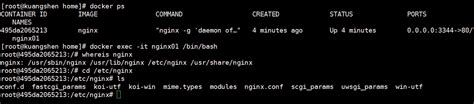 docker中使用nginx long livece 博客园