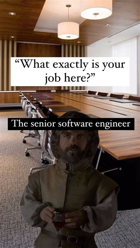 Corporate Trash Panda Developer Developermemes It Consulting